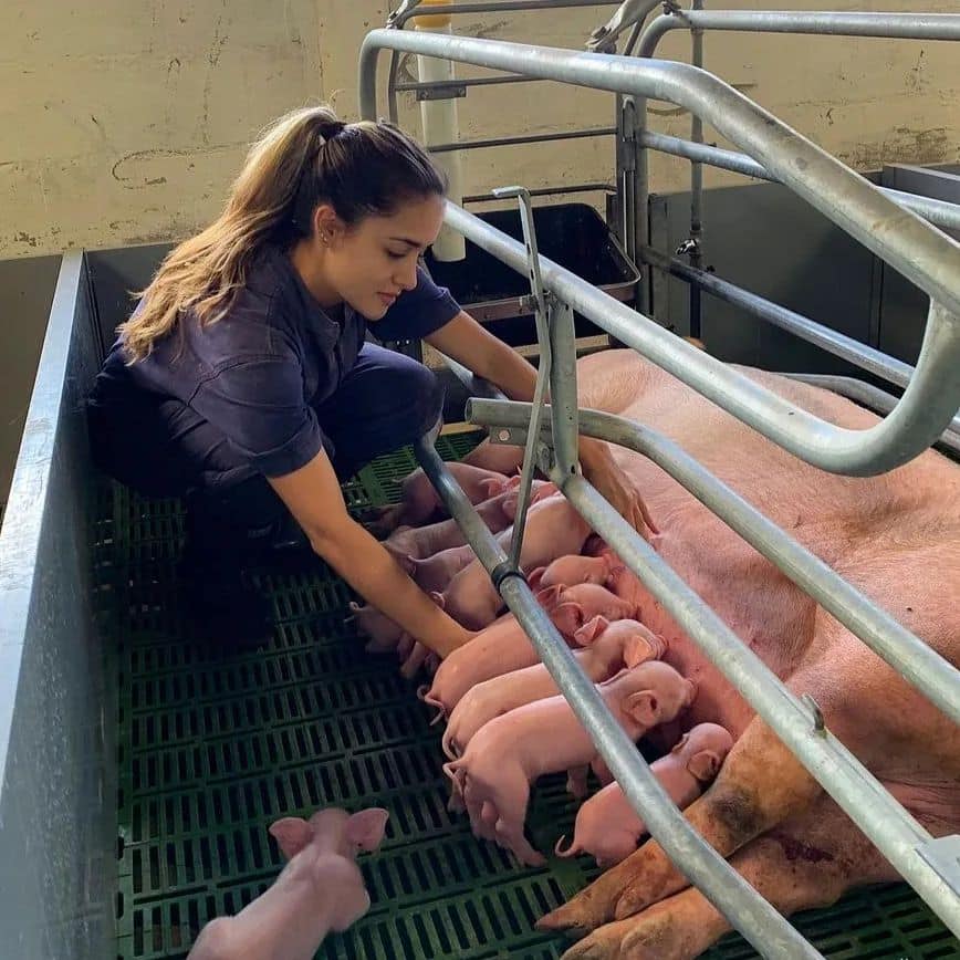 Frigoporcinos Bello - Procesos de calidad a su servicio